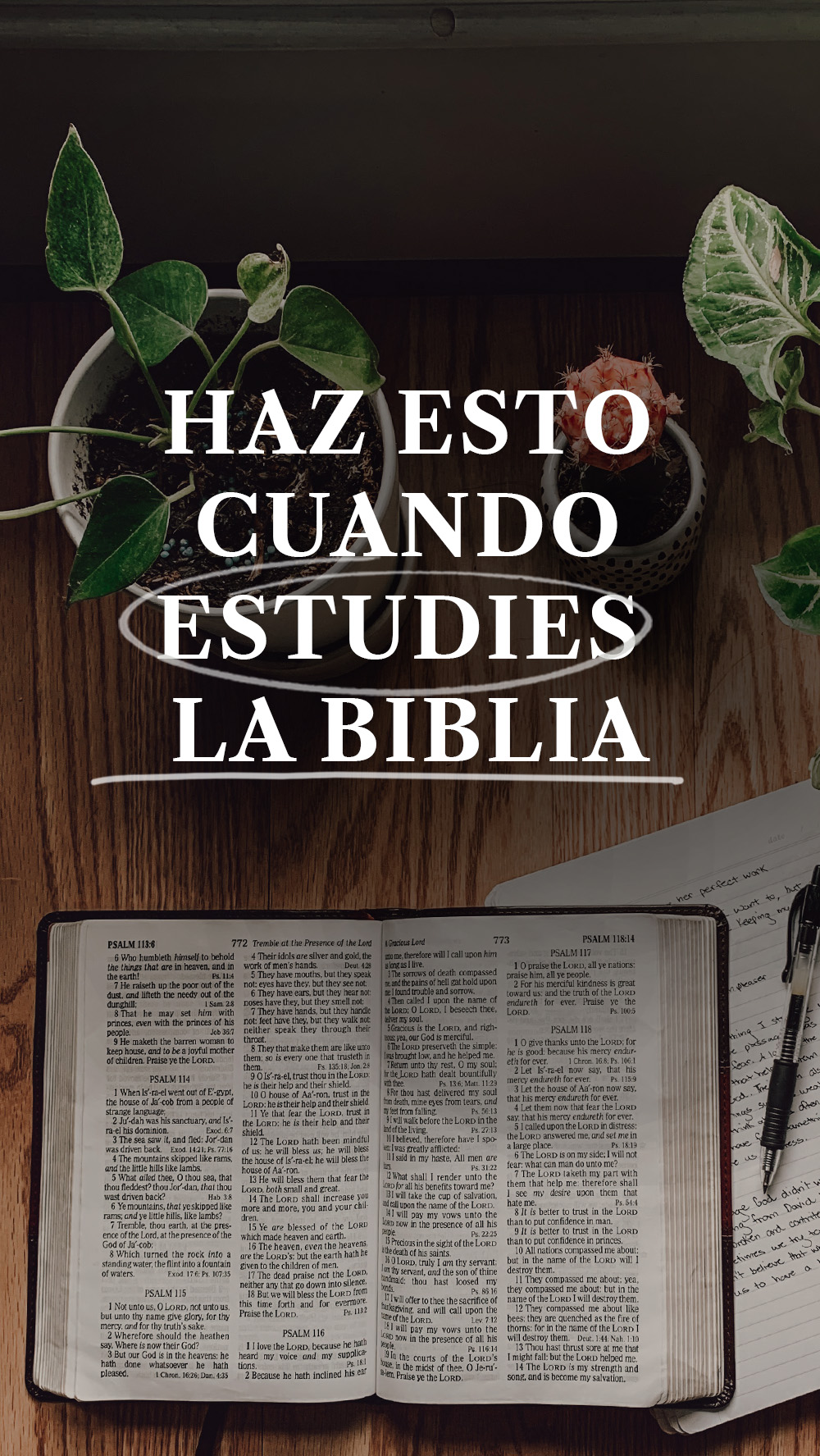 Haz esto cuando estudies la Biblia | New Creation TV Español